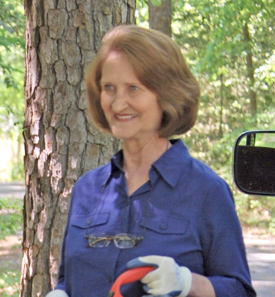 BRENDA T. STROUP - Gazette Journal