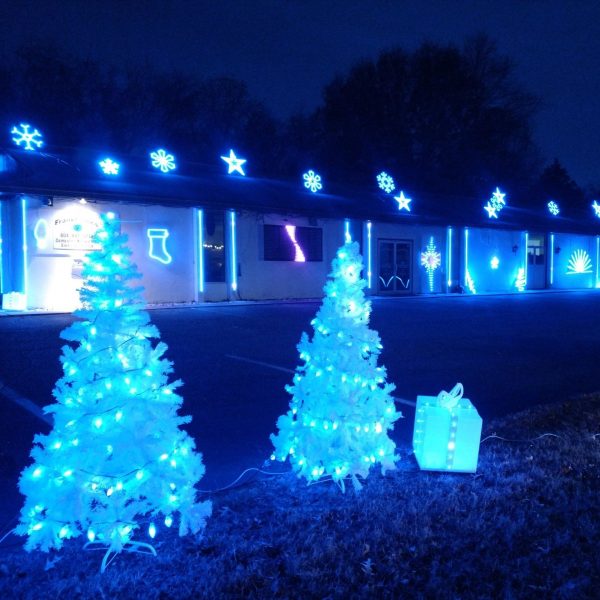 AVFR to benefit from light show donations - Gazette Journal