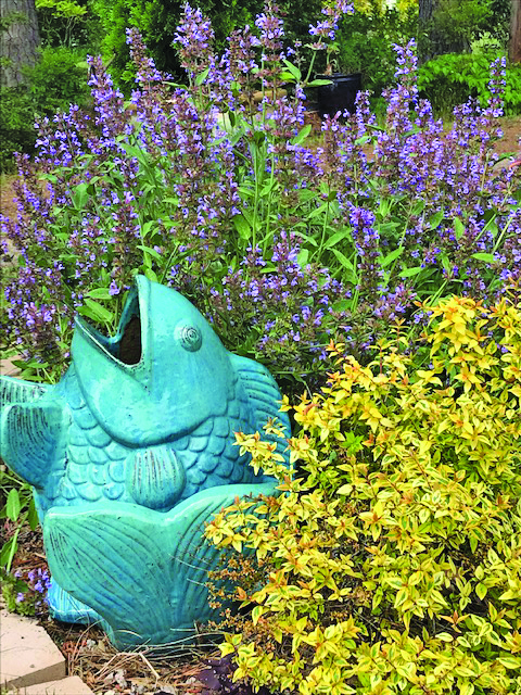 Colorama - Gazette Journal