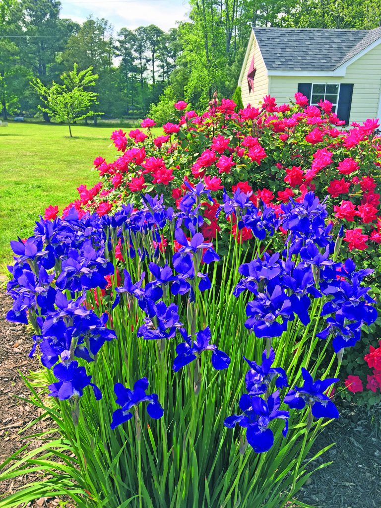 Colorama - Gazette Journal