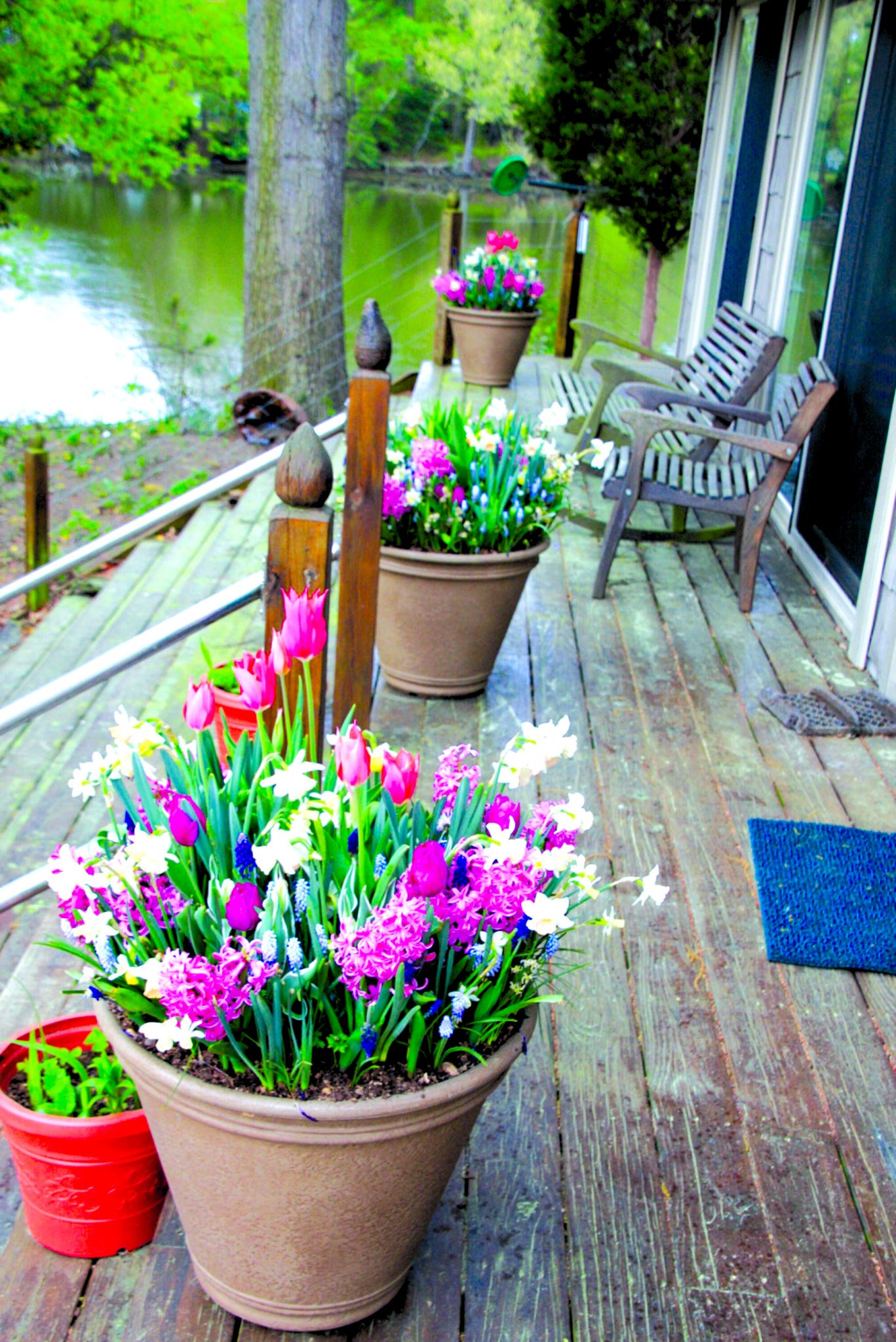 Planting for spring - Gazette Journal