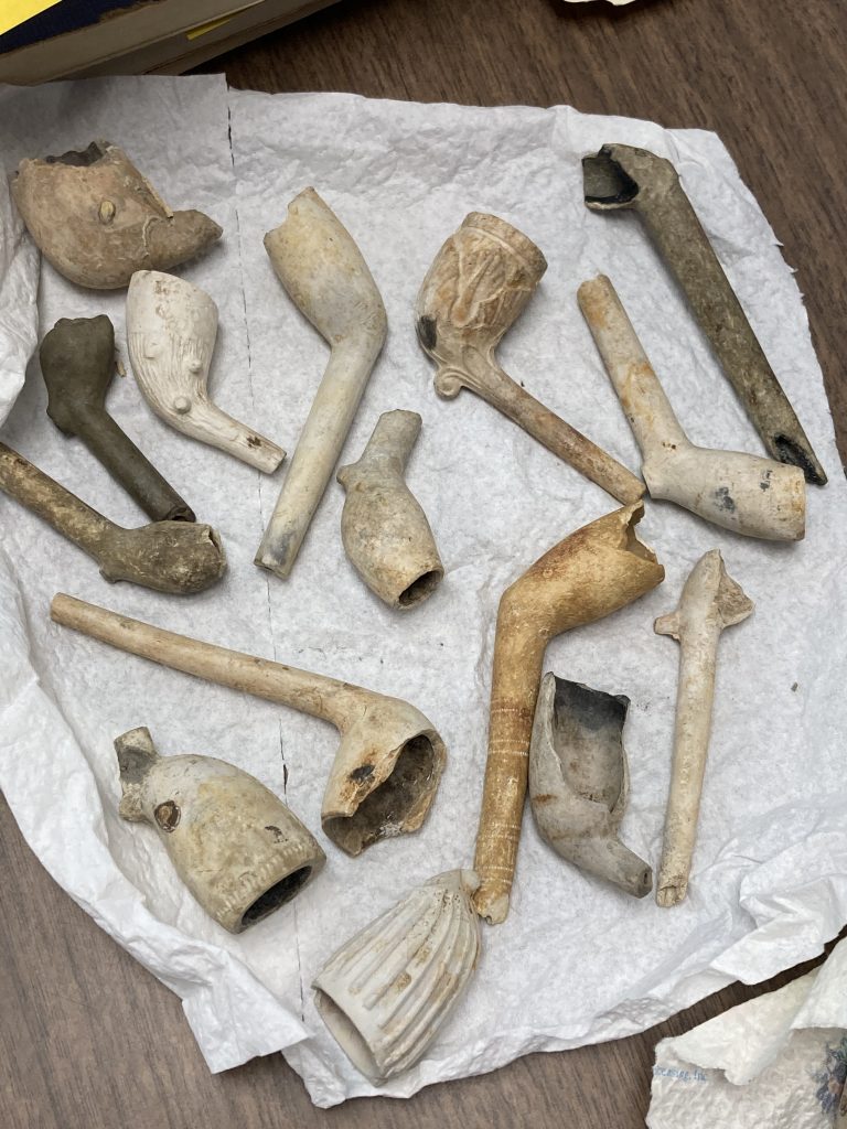 Student’s artifact collection leads to educational opportunity ...