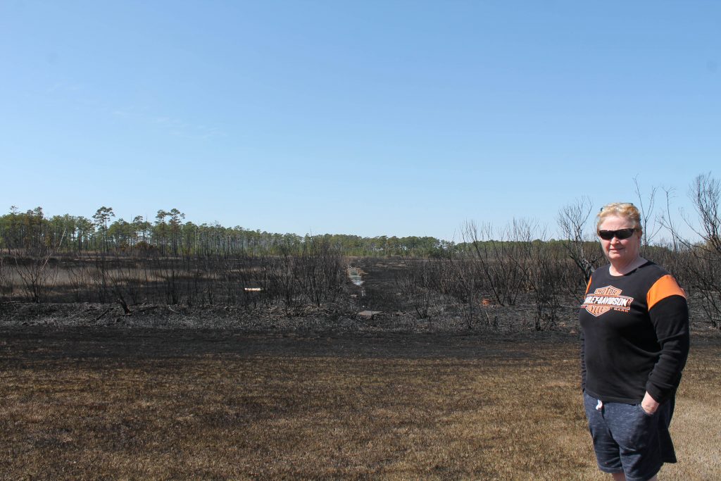 Brush fire burns around 100 acres of Guinea marshes - Gazette Journal