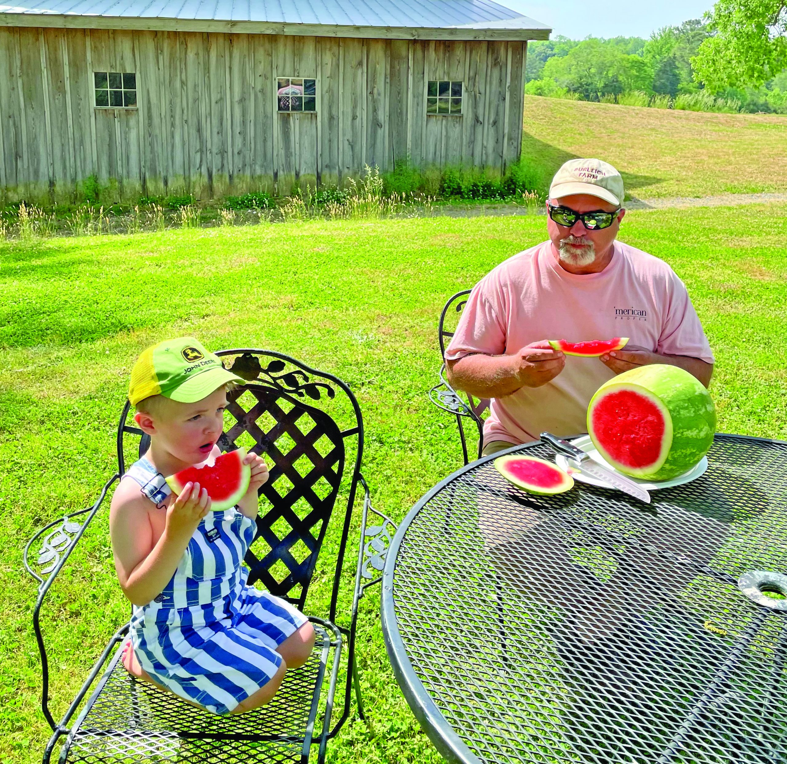 Watermelon: summer favorite has ancient roots - Gazette Journal