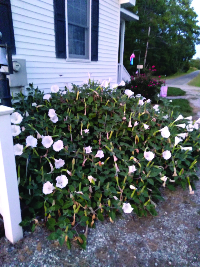 September scenery - Gazette Journal