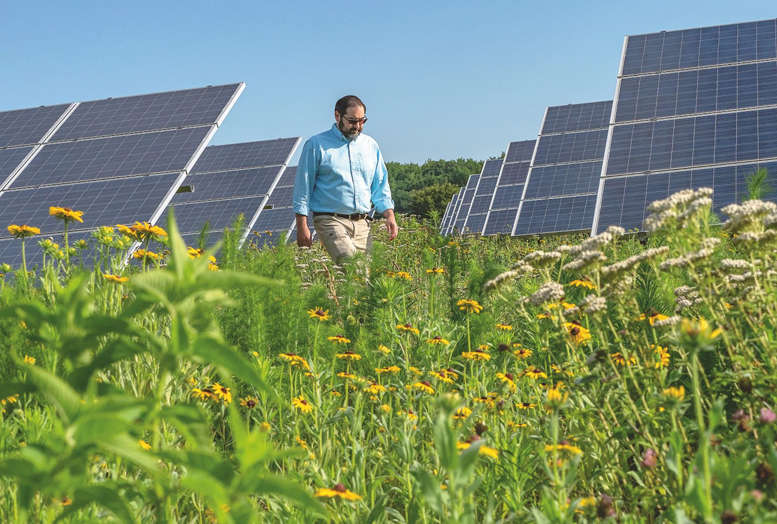 Researchers say stormwater from solar fields needs careful management ...