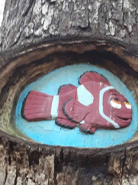 An Enchanted Forest - Gazette Journal