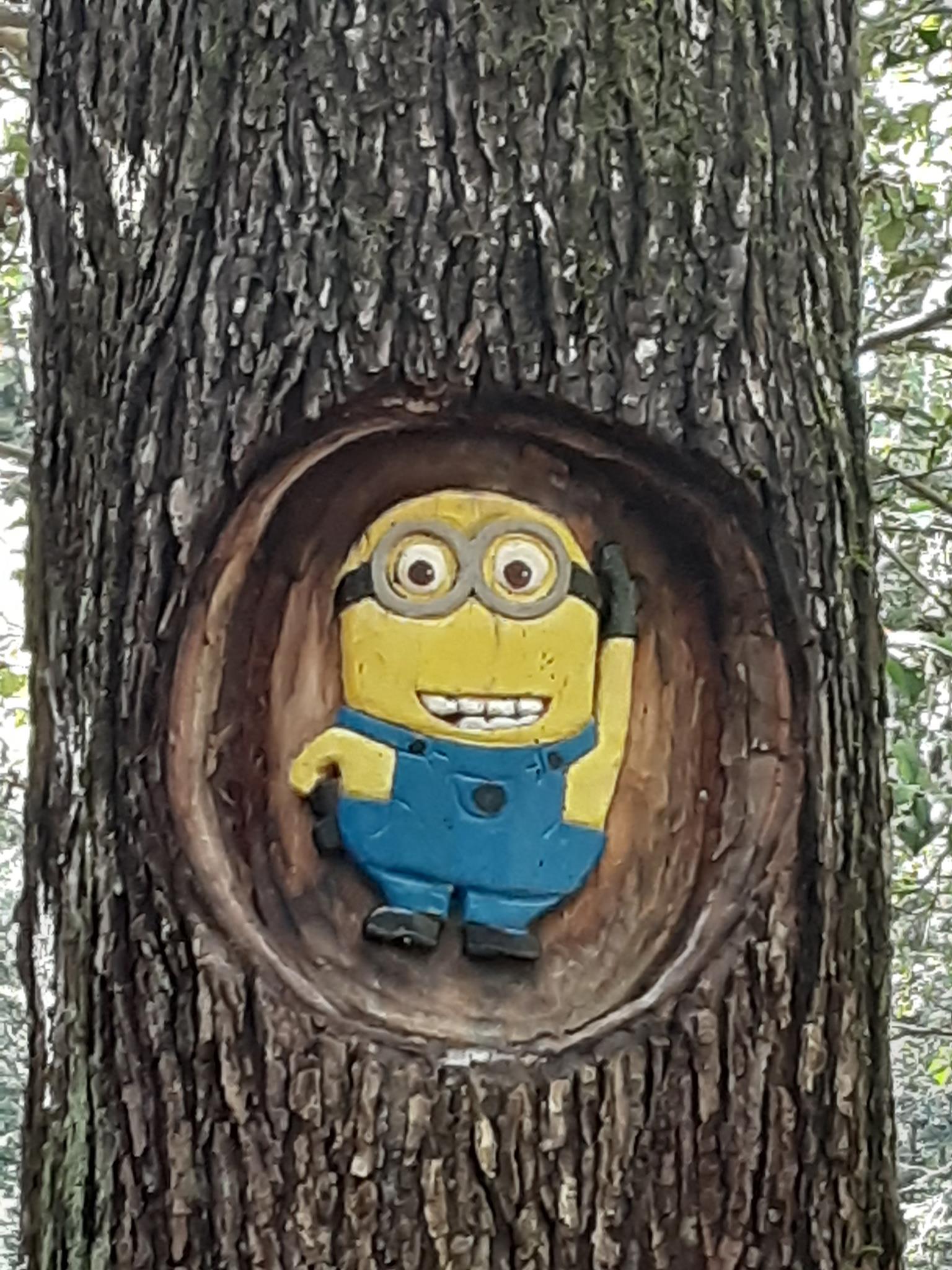 An Enchanted Forest - Gazette Journal