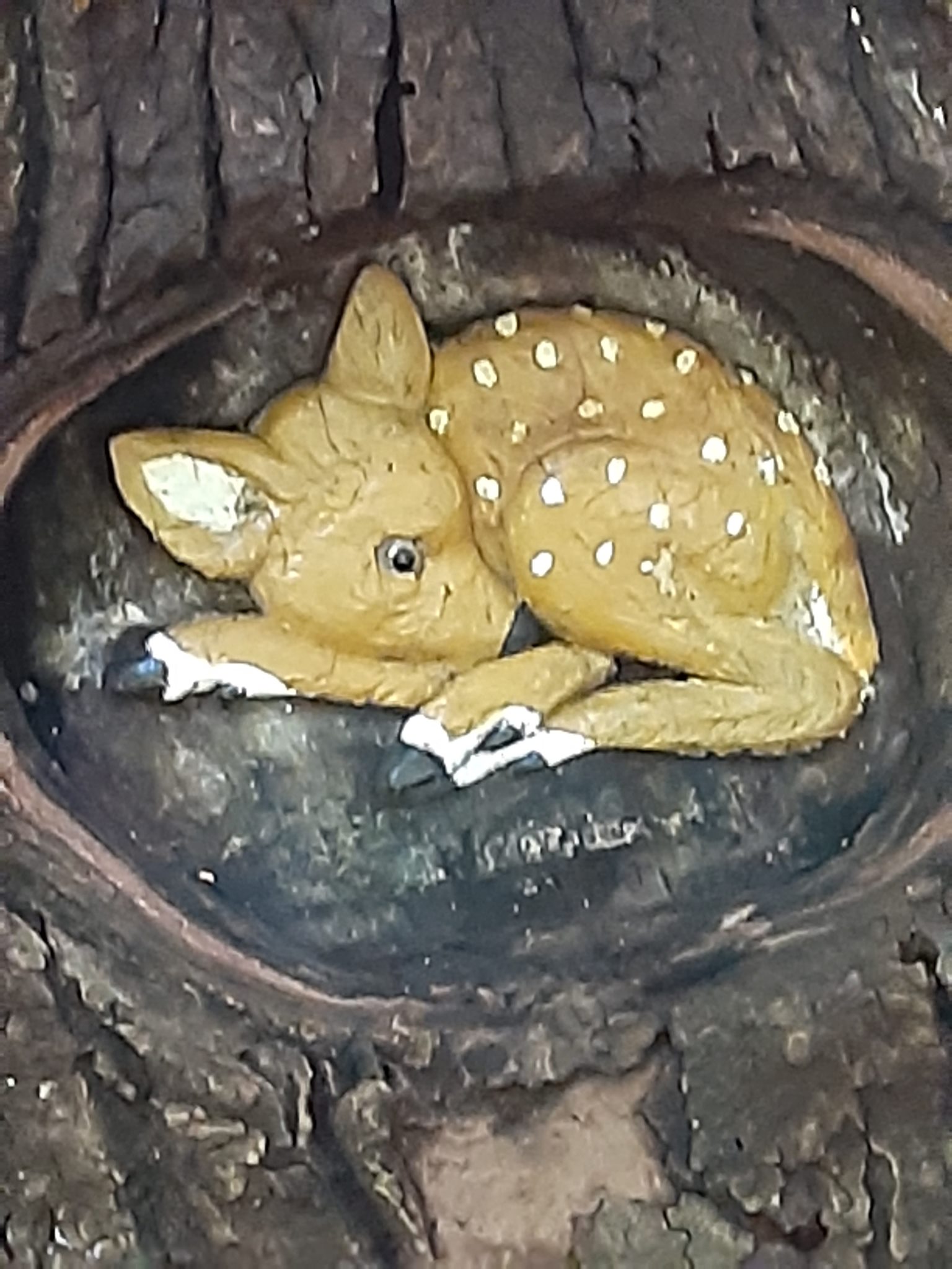 An Enchanted Forest - Gazette Journal