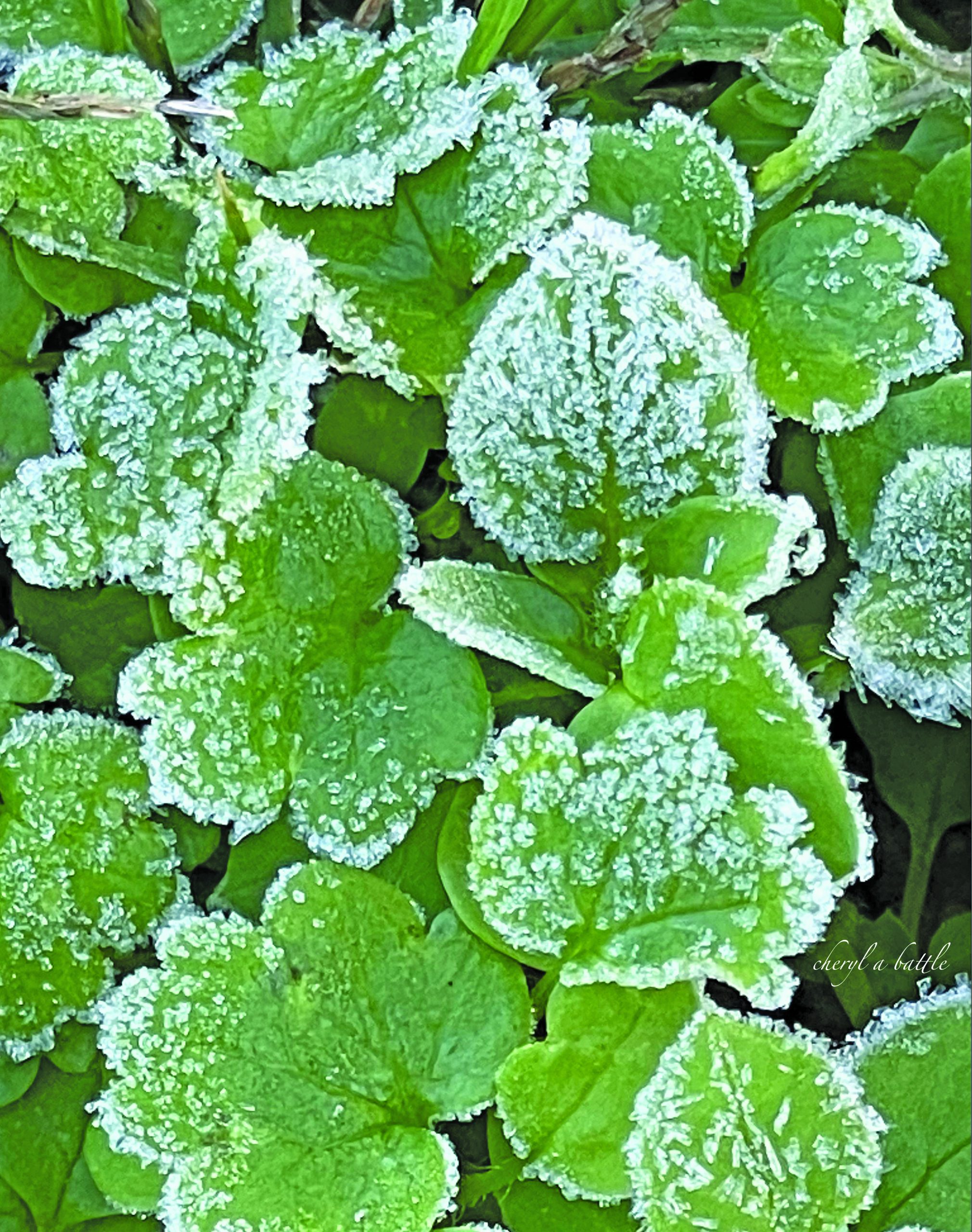 Seeing change - Gazette Journal