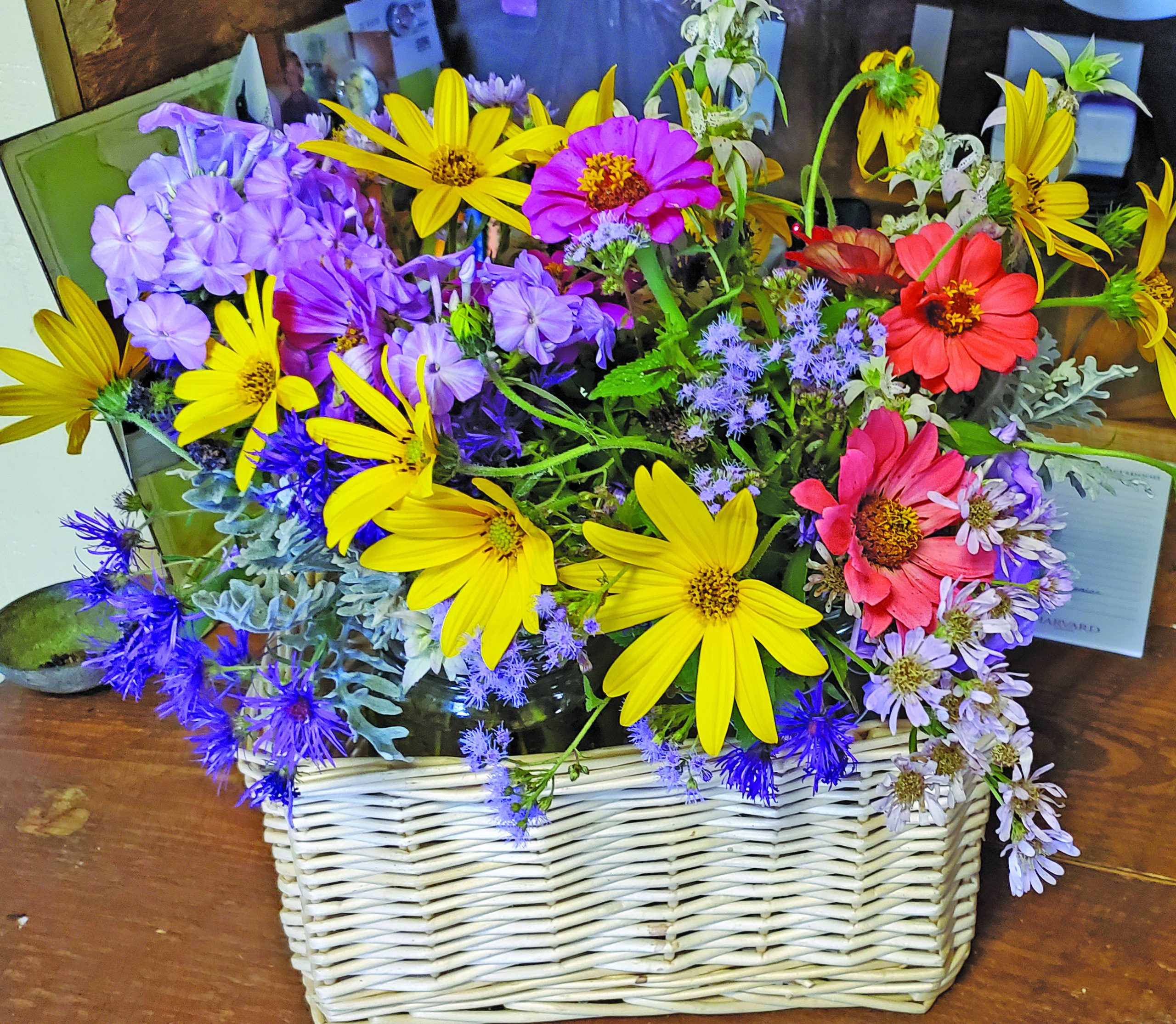 In focus - Gazette Journal