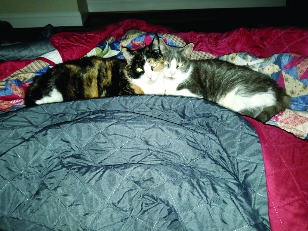 When it’s cold outside... - Gazette Journal