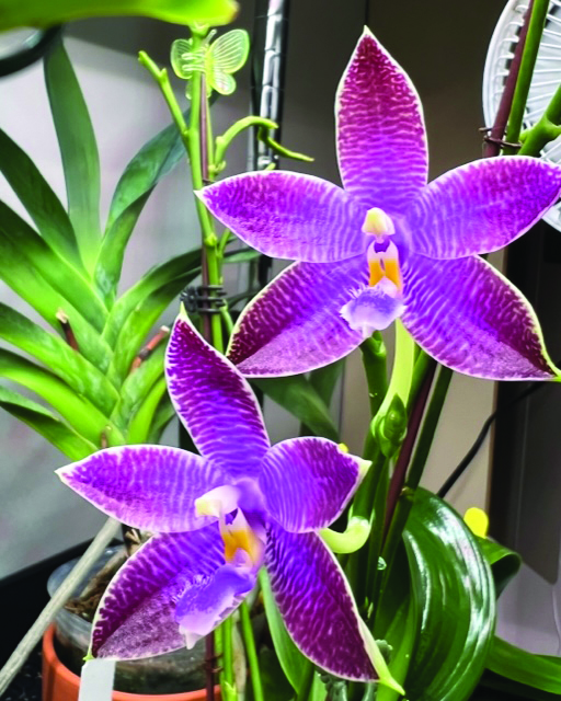 Winter gallery - Gazette Journal