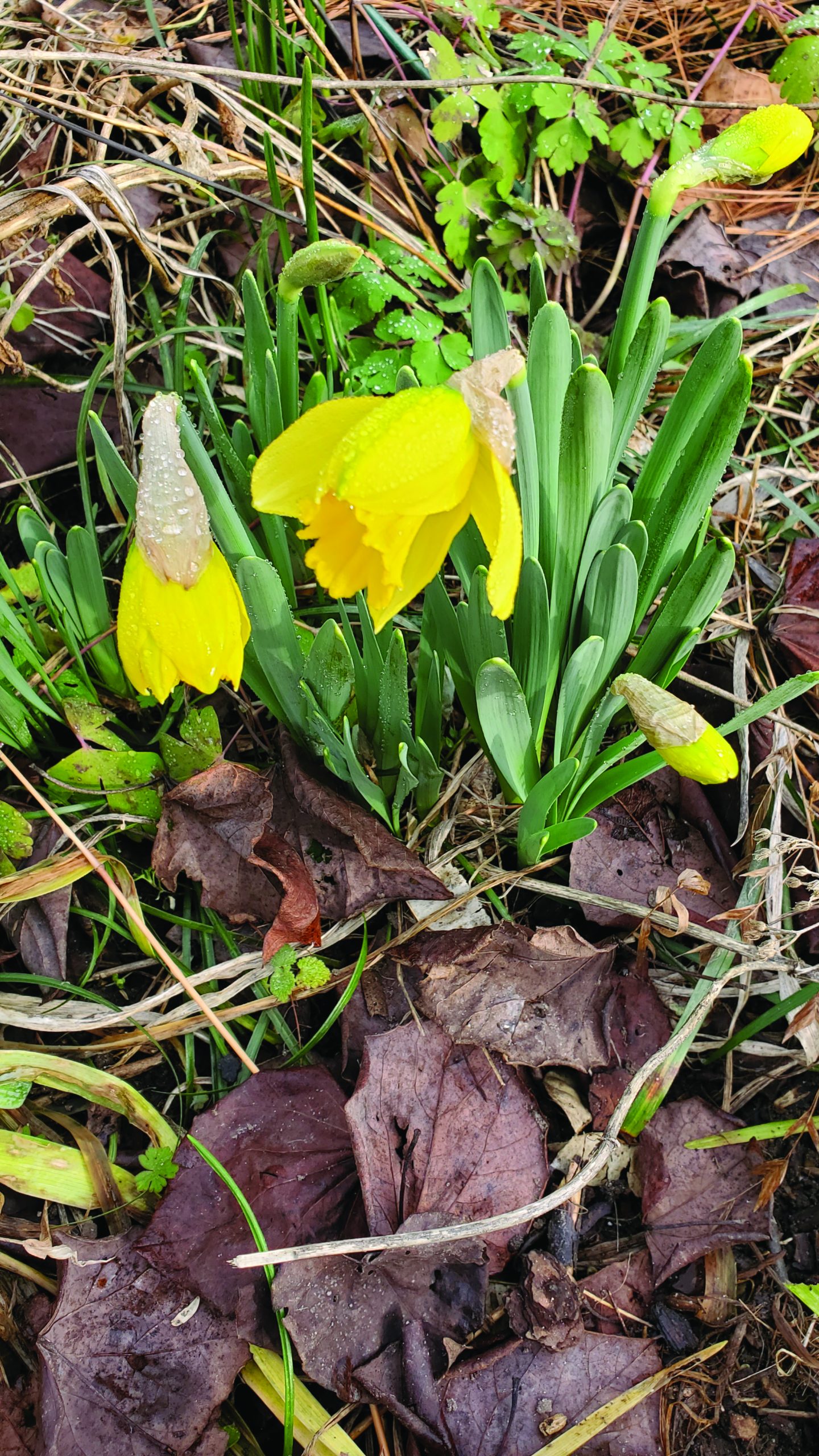 When it’s cold outside... - Gazette Journal