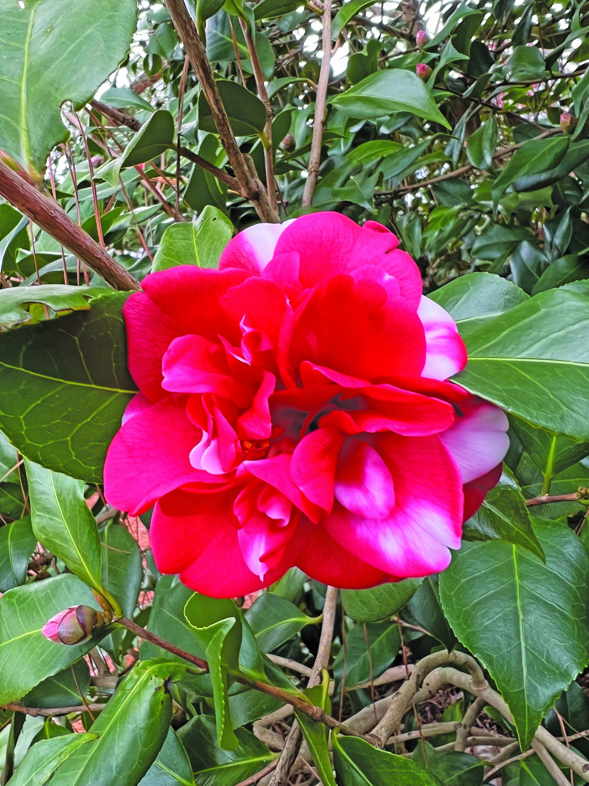 Hopeful signs - Gazette Journal