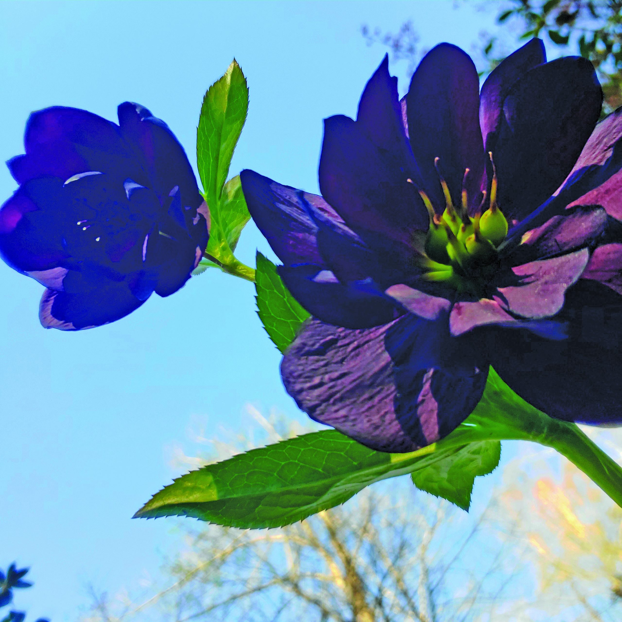 Three years! - Gazette Journal