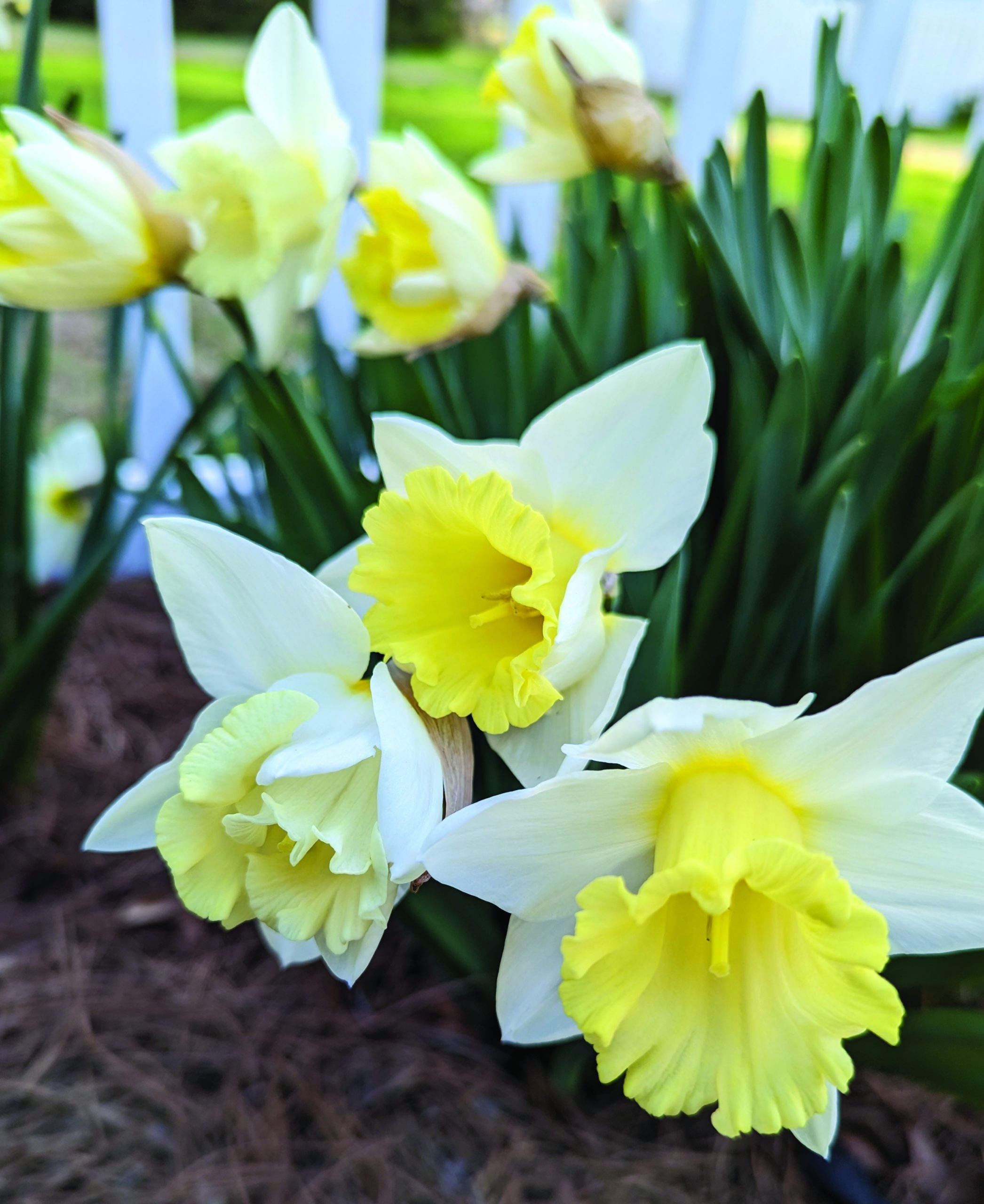 Three years! - Gazette Journal