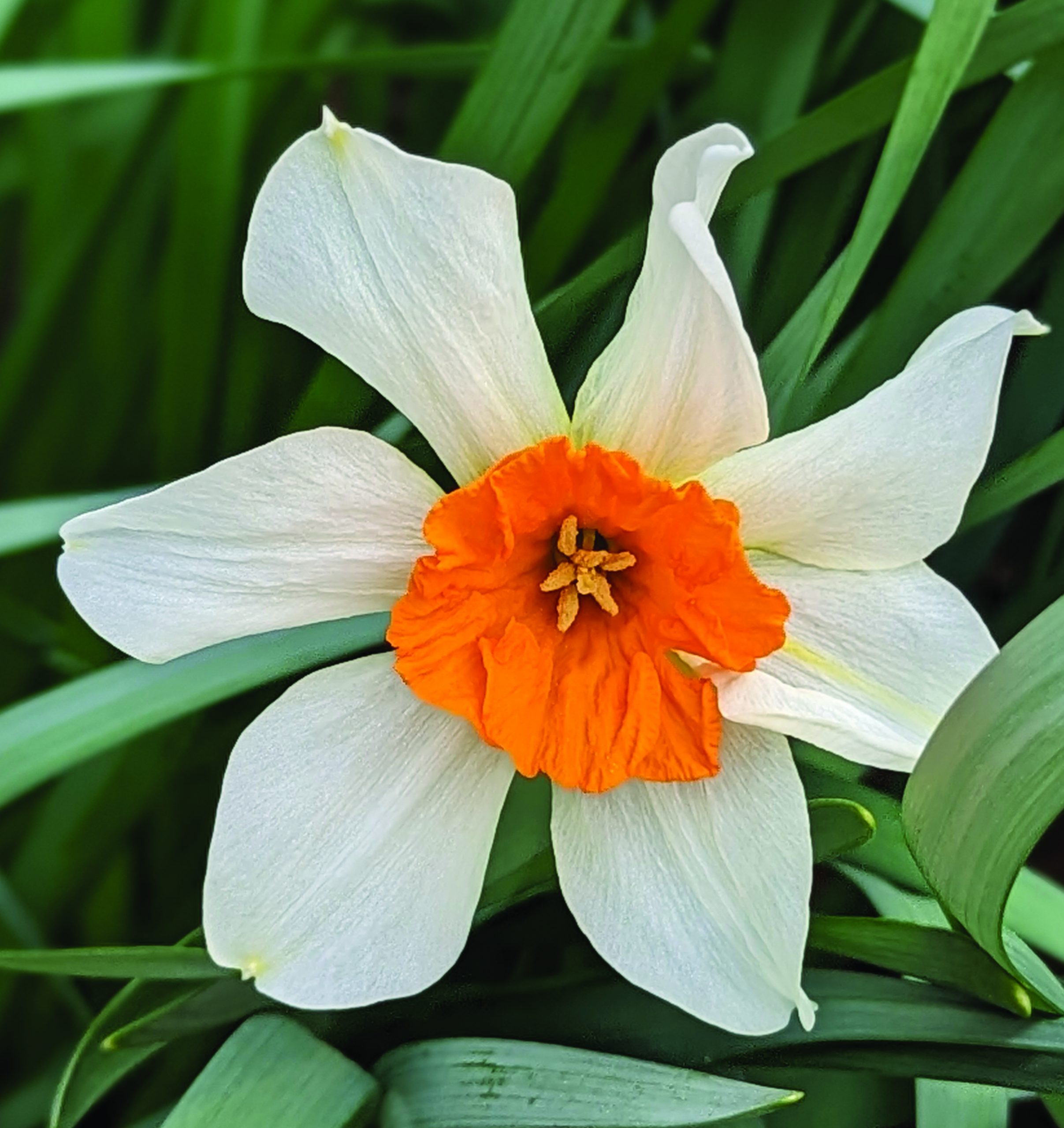 Three years! - Gazette Journal