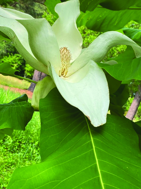 Just a sample - Gazette Journal