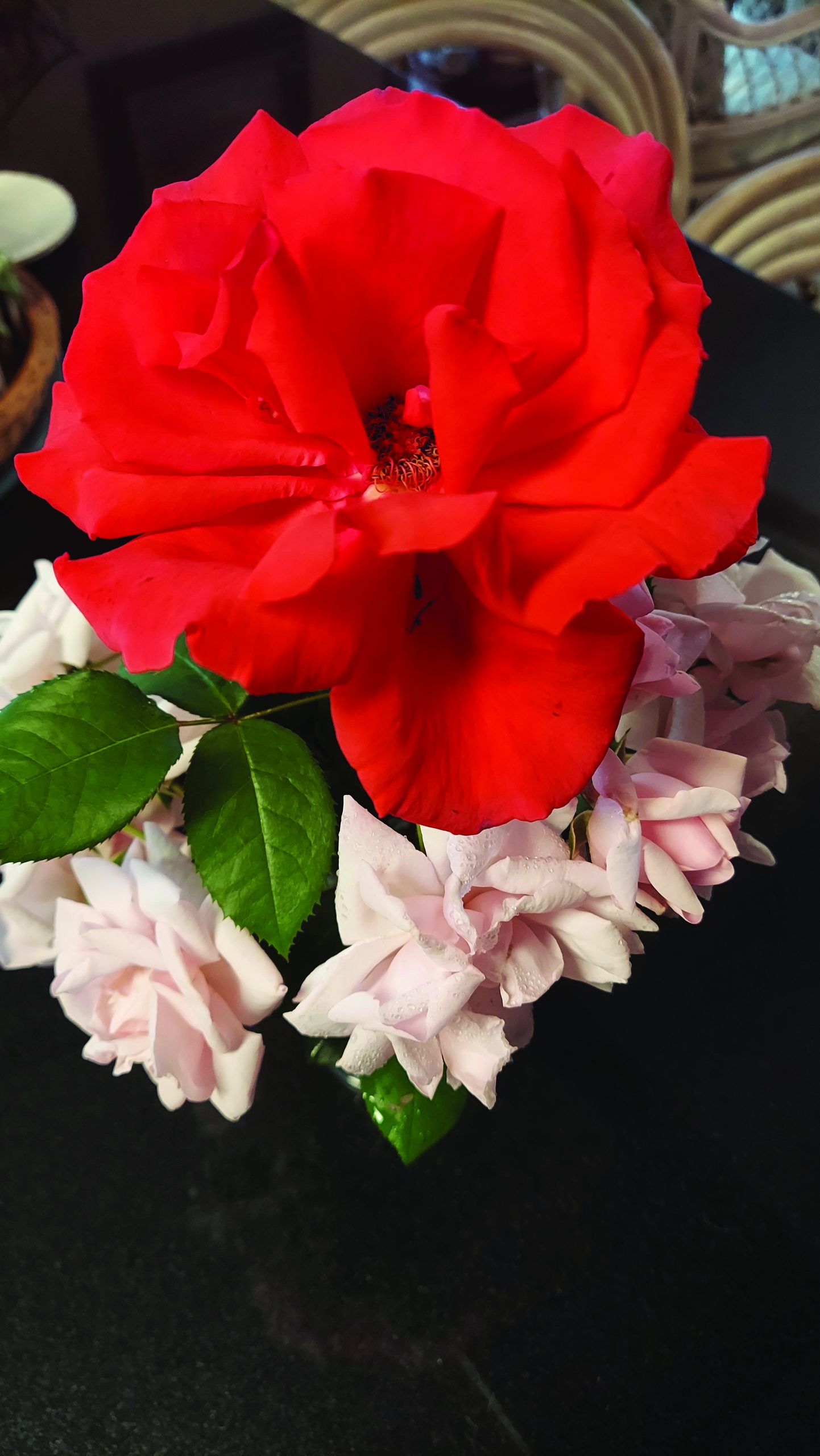 Got flowers? - Gazette Journal