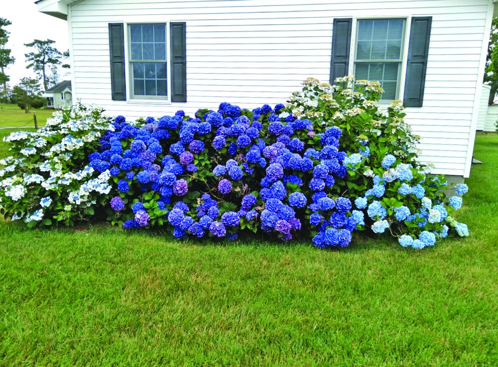 Hot or cool? - Gazette Journal