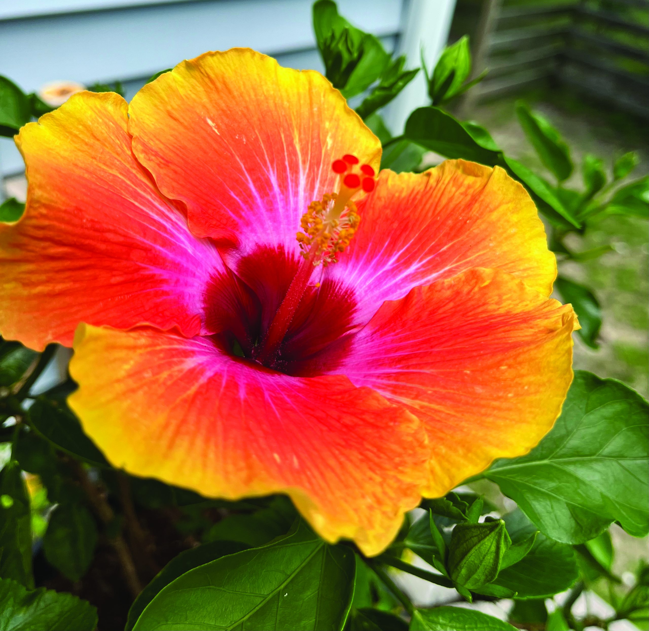 Hot or cool? - Gazette Journal