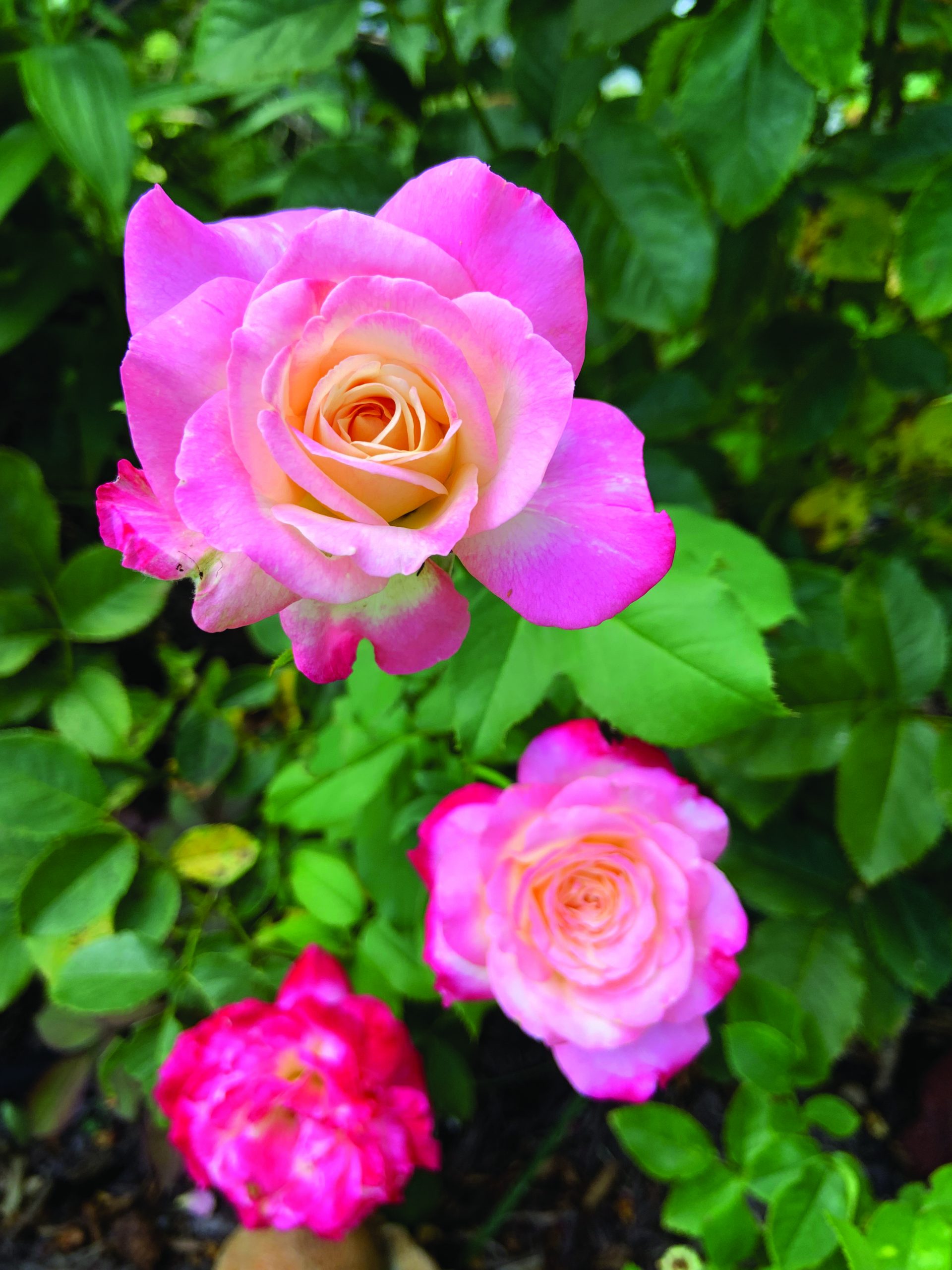 Heat and cool - Gazette Journal