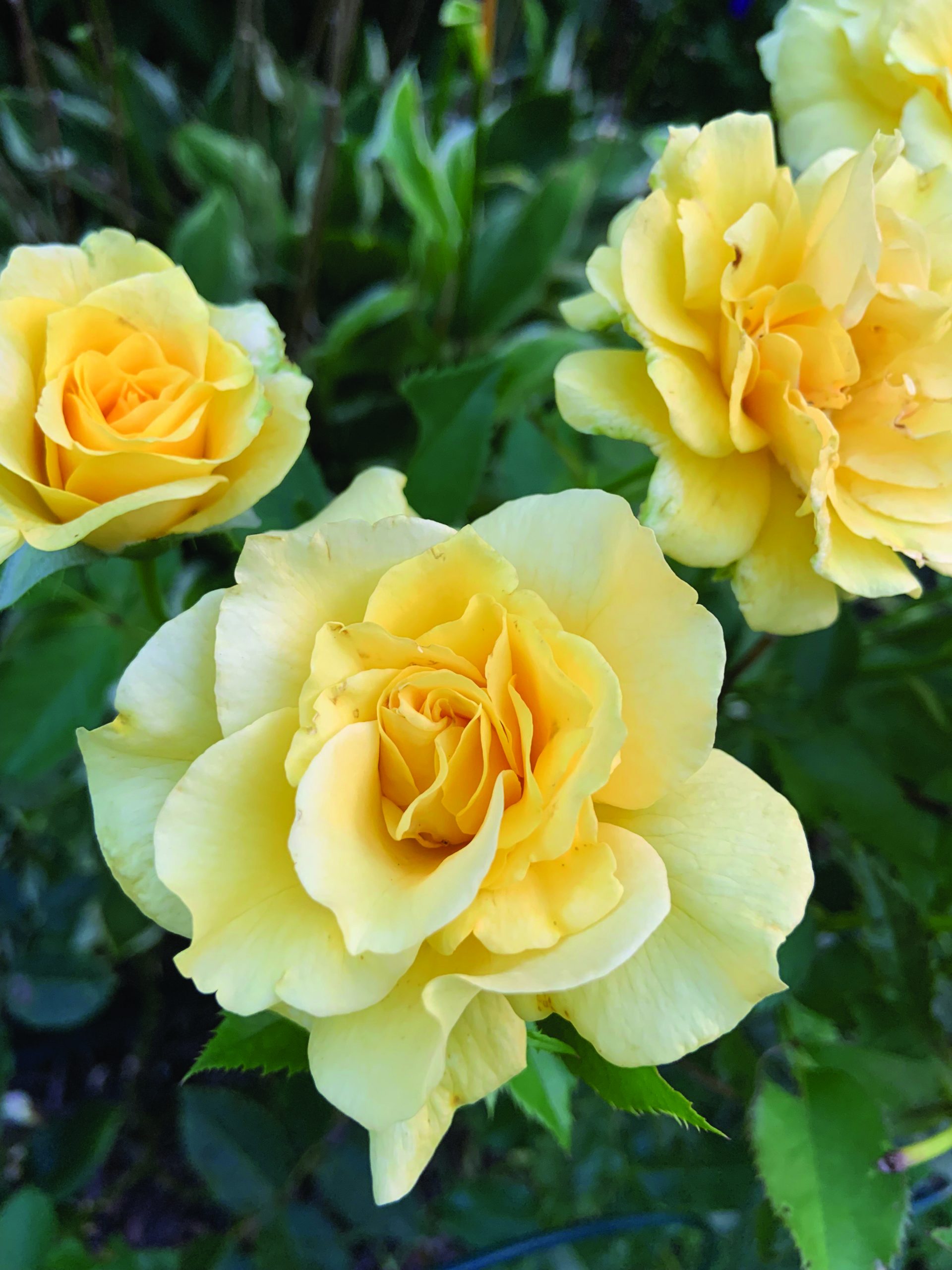 Heat and cool - Gazette Journal