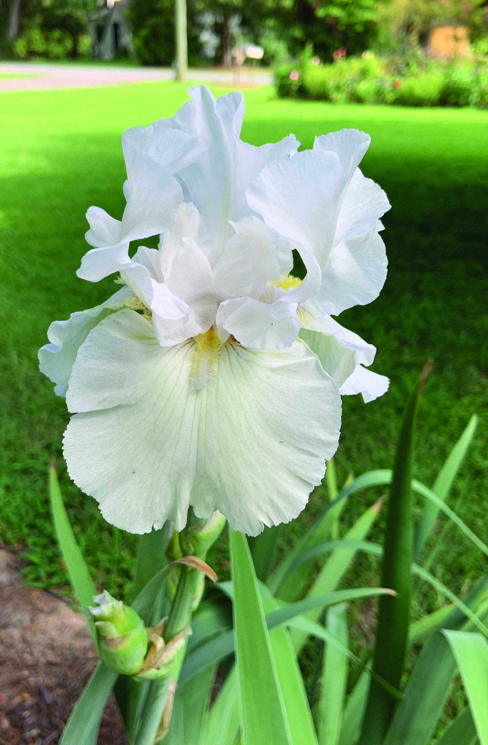 Heat and cool - Gazette Journal