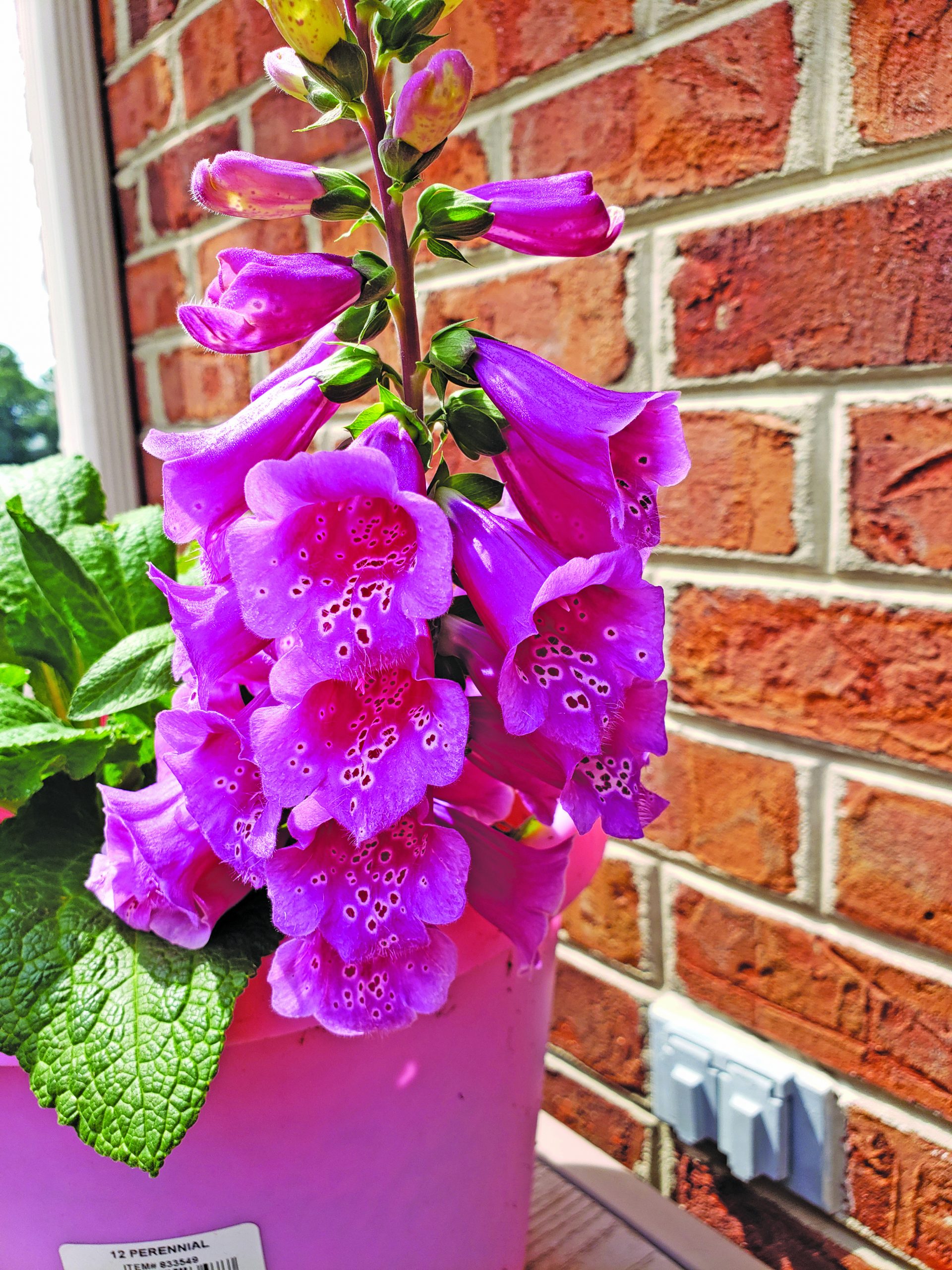 It’s all beautiful - Gazette Journal