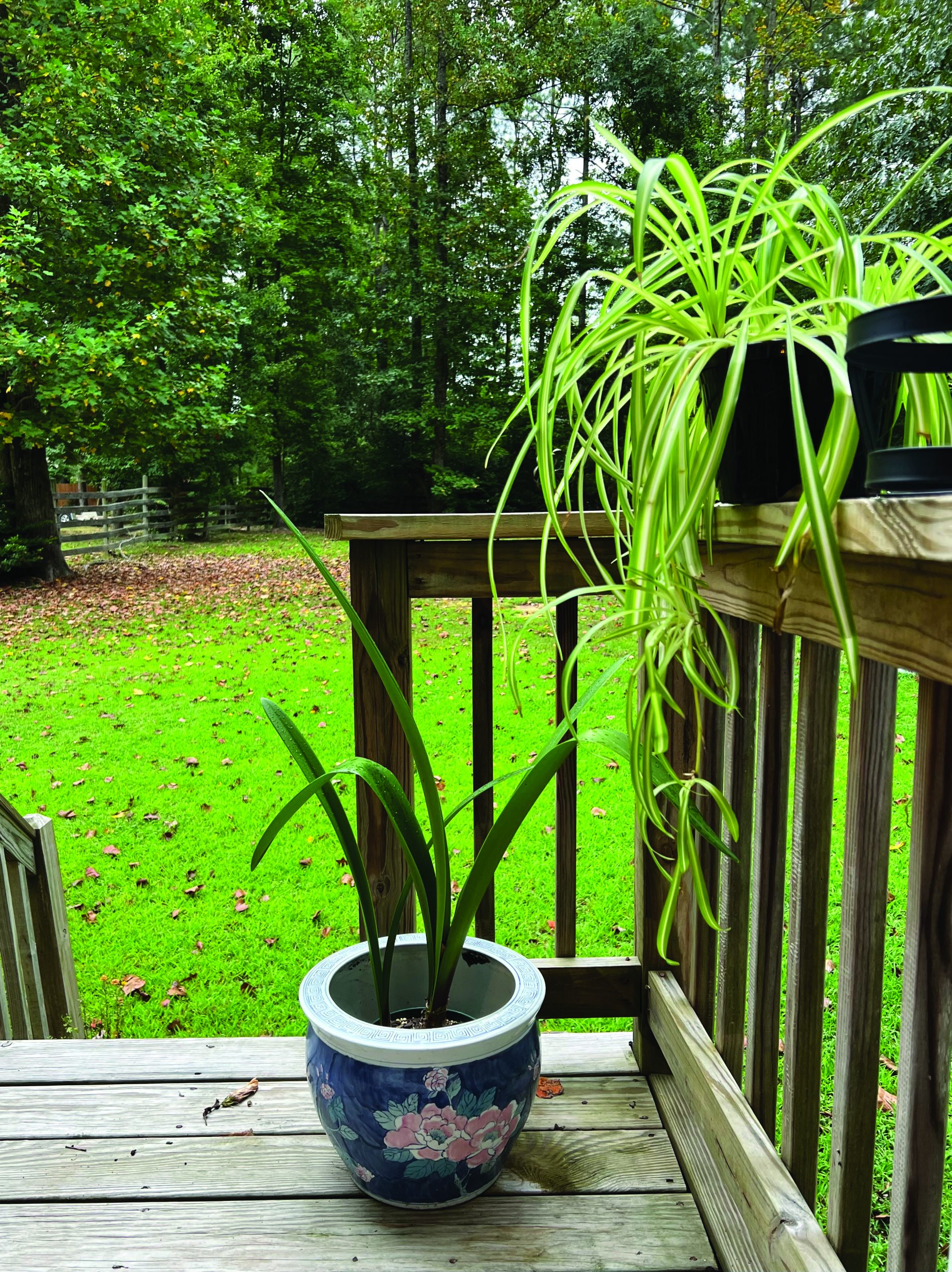 From the earth - Gazette Journal