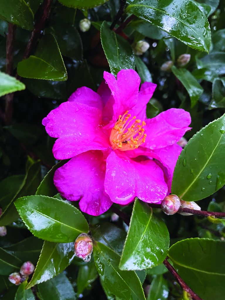 Toward winter - Gazette Journal