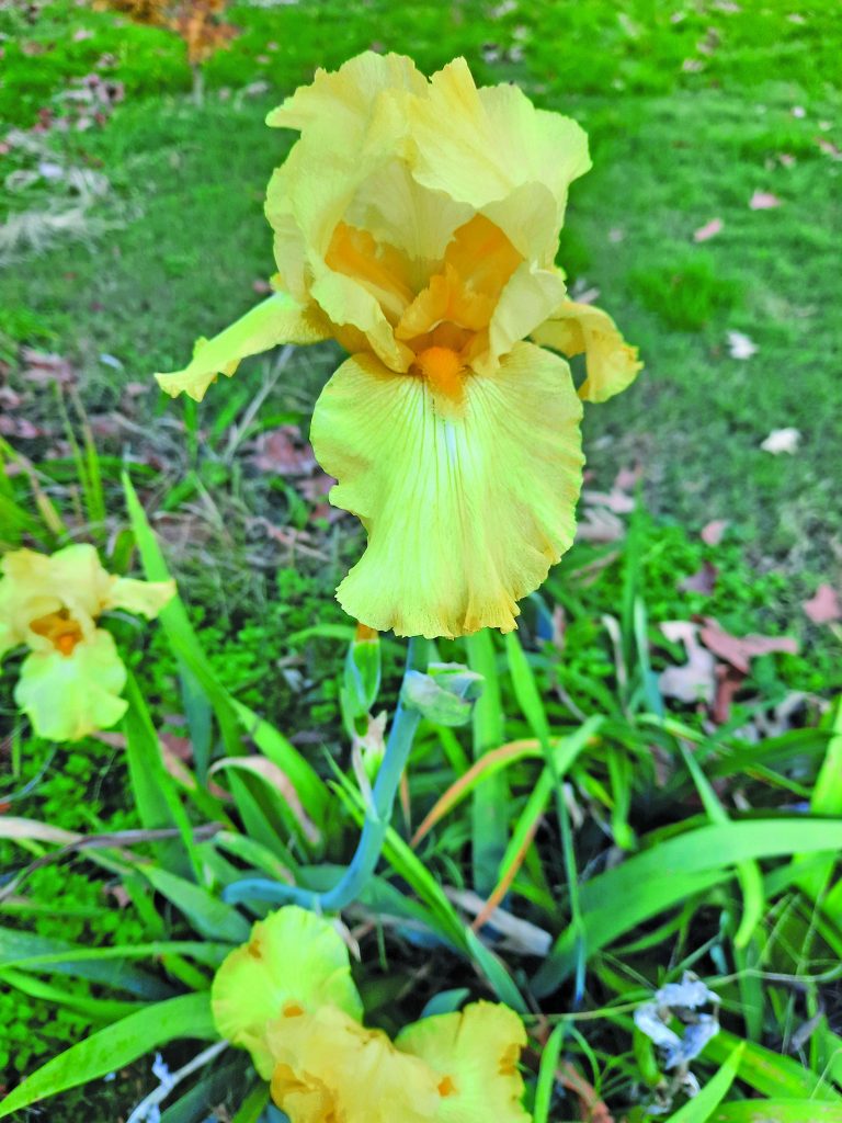 Full palette - Gazette Journal