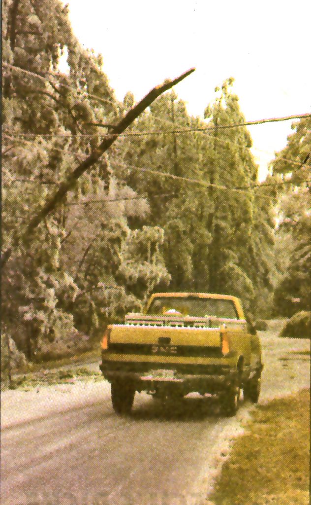 25 years ago, an epic ice storm struck region - Gazette Journal