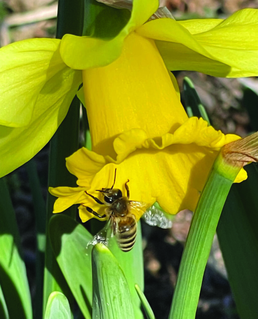 It’s all good - Gazette Journal