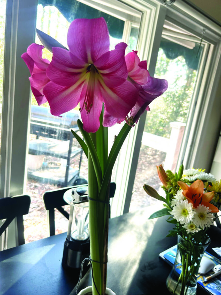 It’s all good - Gazette Journal