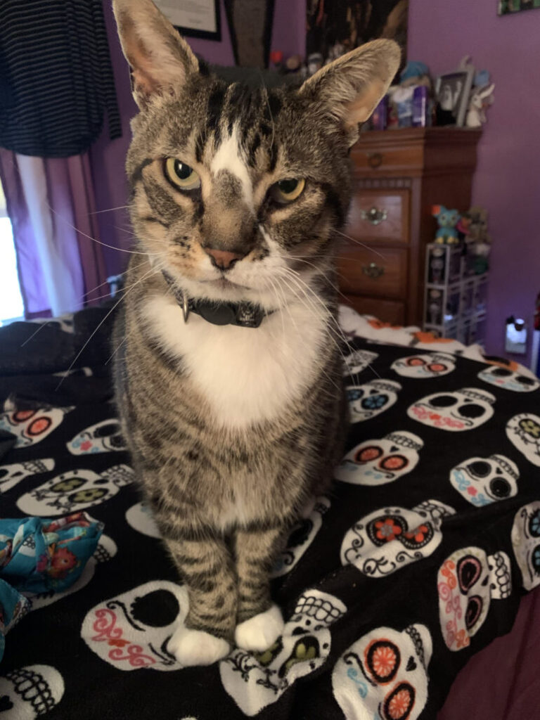 Meet the wonderful friends of our readers - Gazette Journal