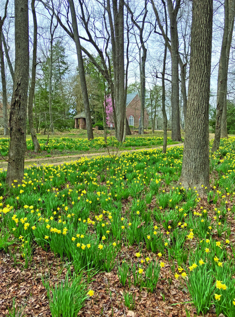 Color splash - Gazette Journal