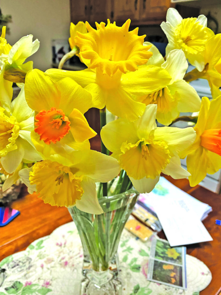 Early arrivals - Gazette Journal