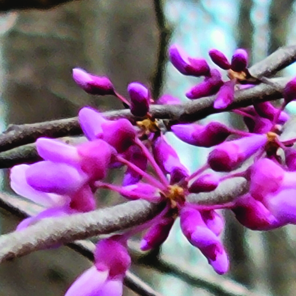 Bring it on - Gazette Journal