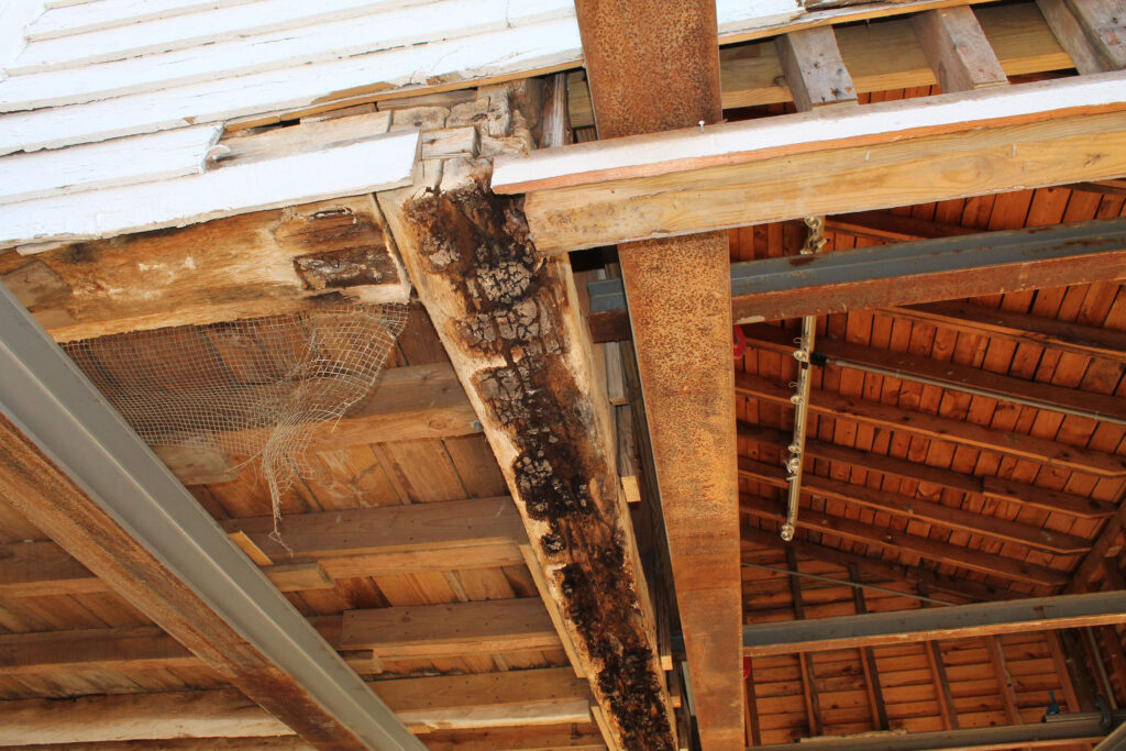 James Store preservation - Gazette Journal