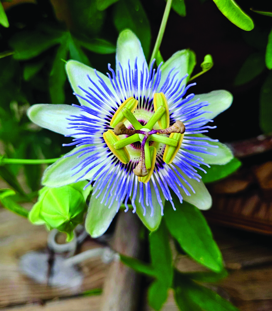 Mostly good - Gazette Journal