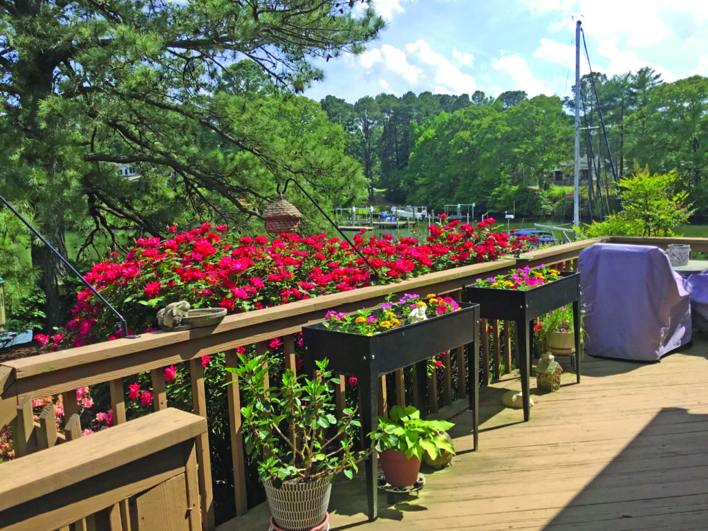 Nature sings - Gazette Journal