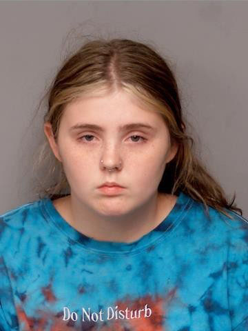 Suspects arrested in Mathews double homicide - Gazette Journal