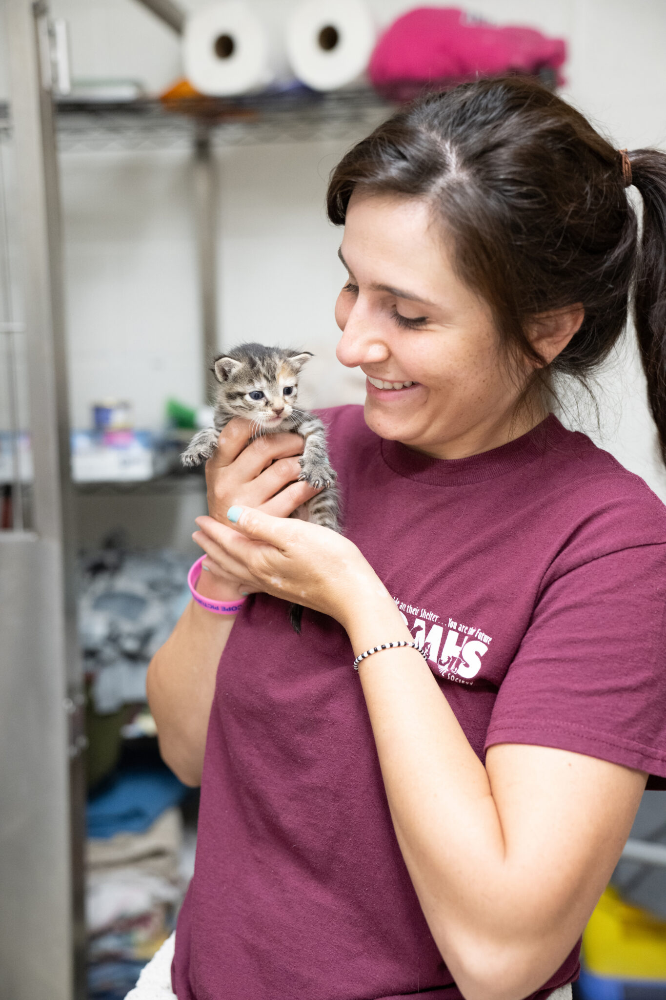 How you can help homeless pets in need at the Gloucester-Mathews Humane ...
