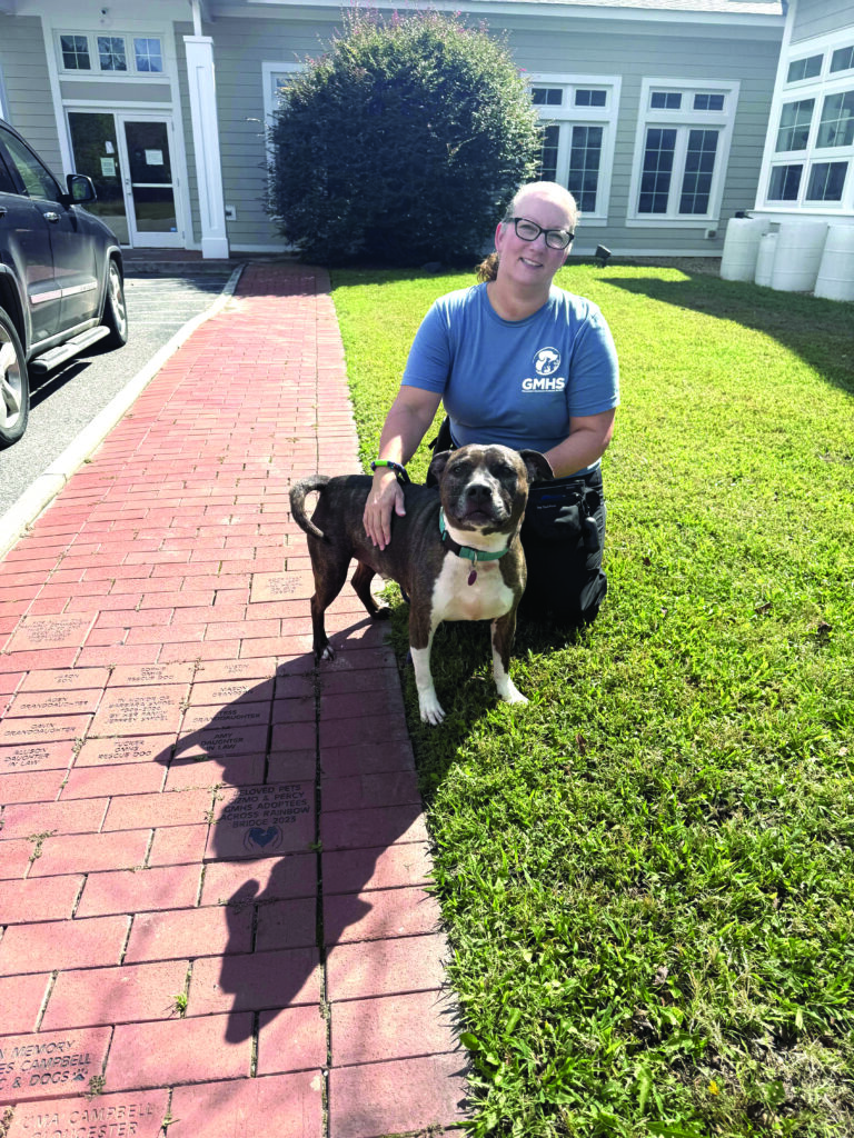 October is Adopt-a-Shelter-Dog Month: Find your new best friend ...