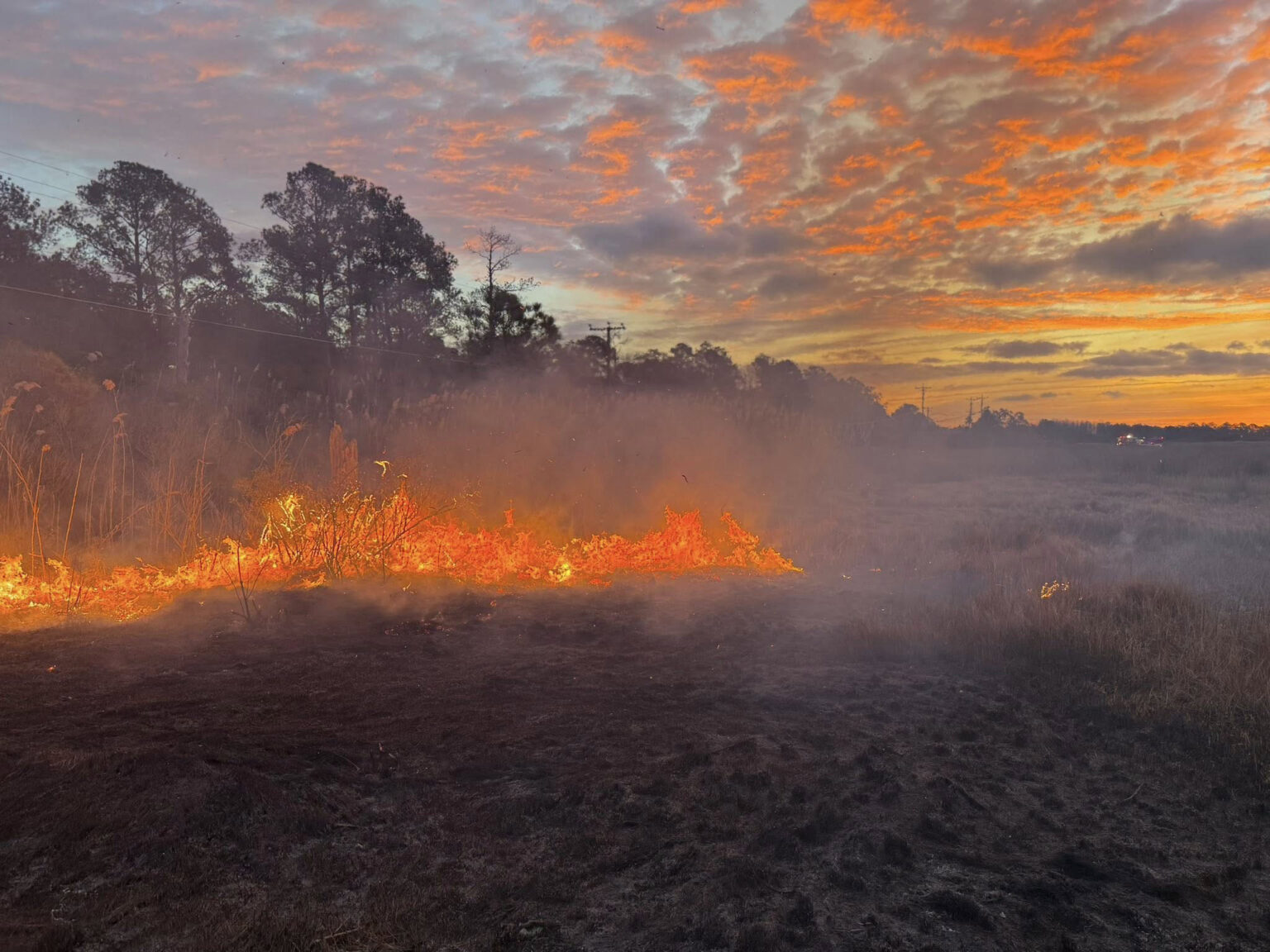Brush fires burn about 20 acres in lower Gloucester County - Gazette ...